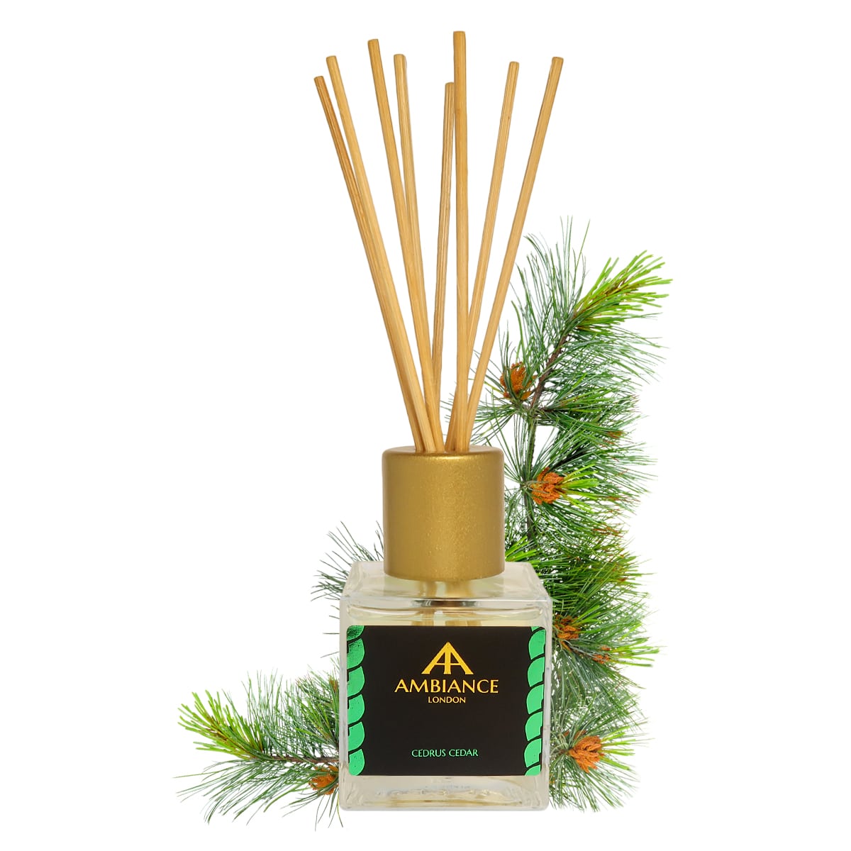 Cedar Reed Diffusers & Refills | Luxury Reed Diffusers | Ancienne Ambiance